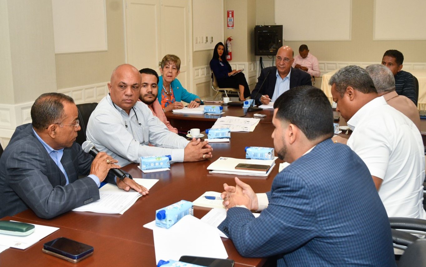 Comisión Bicameral fusionará cuatro proyectos para crear la Dirección ...