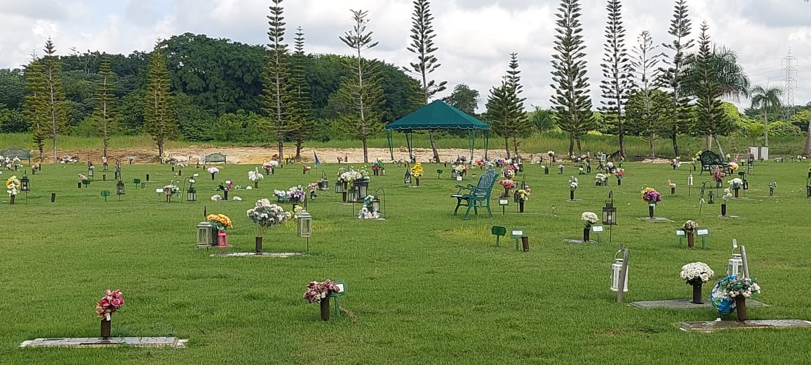 Parque del Prado celebra la vida en armonía con la naturaleza ...